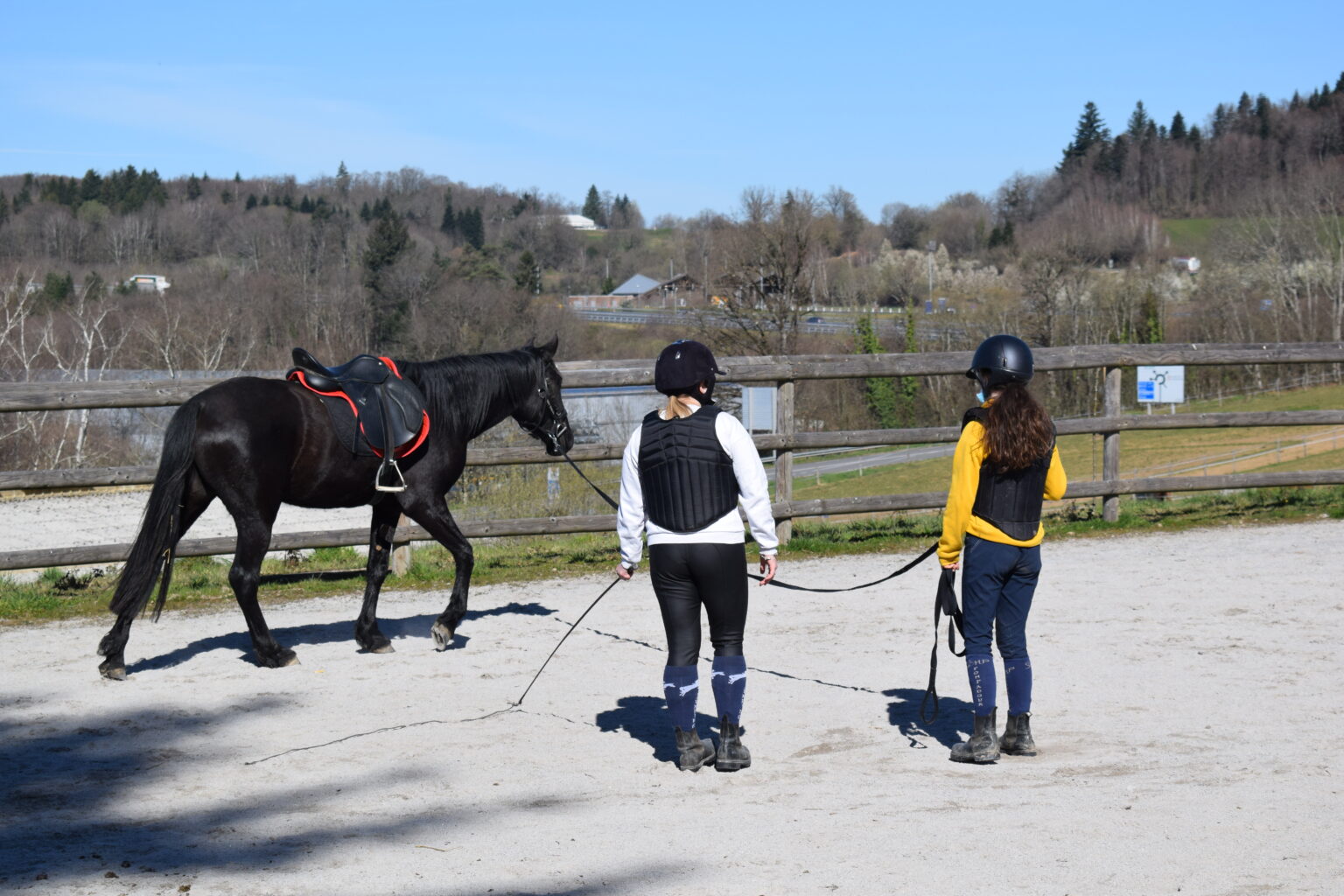 Découverte des formations… métiers du cheval - Lycée agricole Tulle Naves
